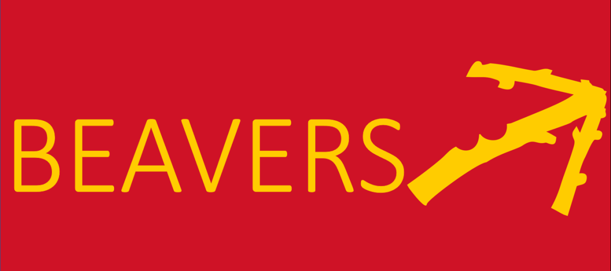 Beavers – Cill Dara Scout County